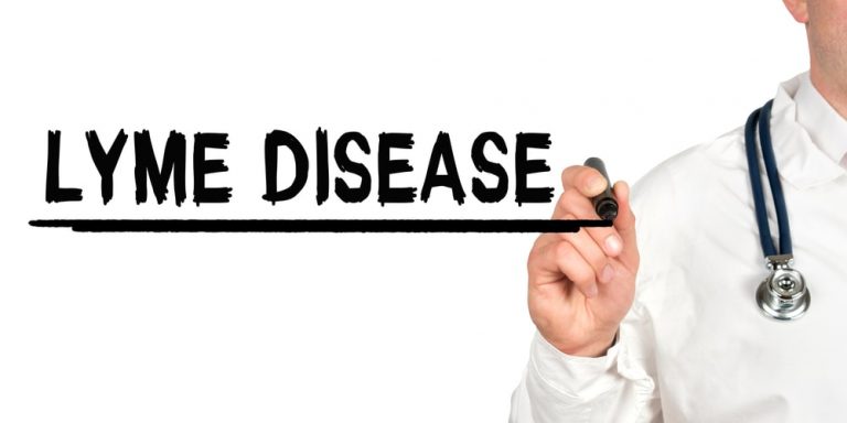 Can Lyme Disease Be Cured? - Know More In Details