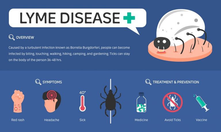 Can Lyme Disease Be Cured? - Know More In Details