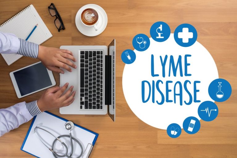 Can Lyme Disease Be Cured? - Know More In Details